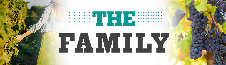 Buy wines online Australia wide | Premium wines direct